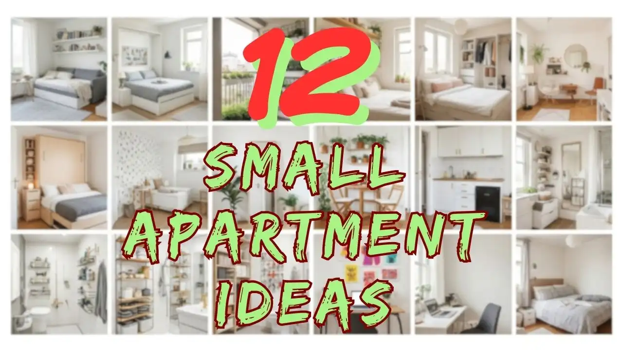 12 Small Apartment Ideas to Make It More Beautiful